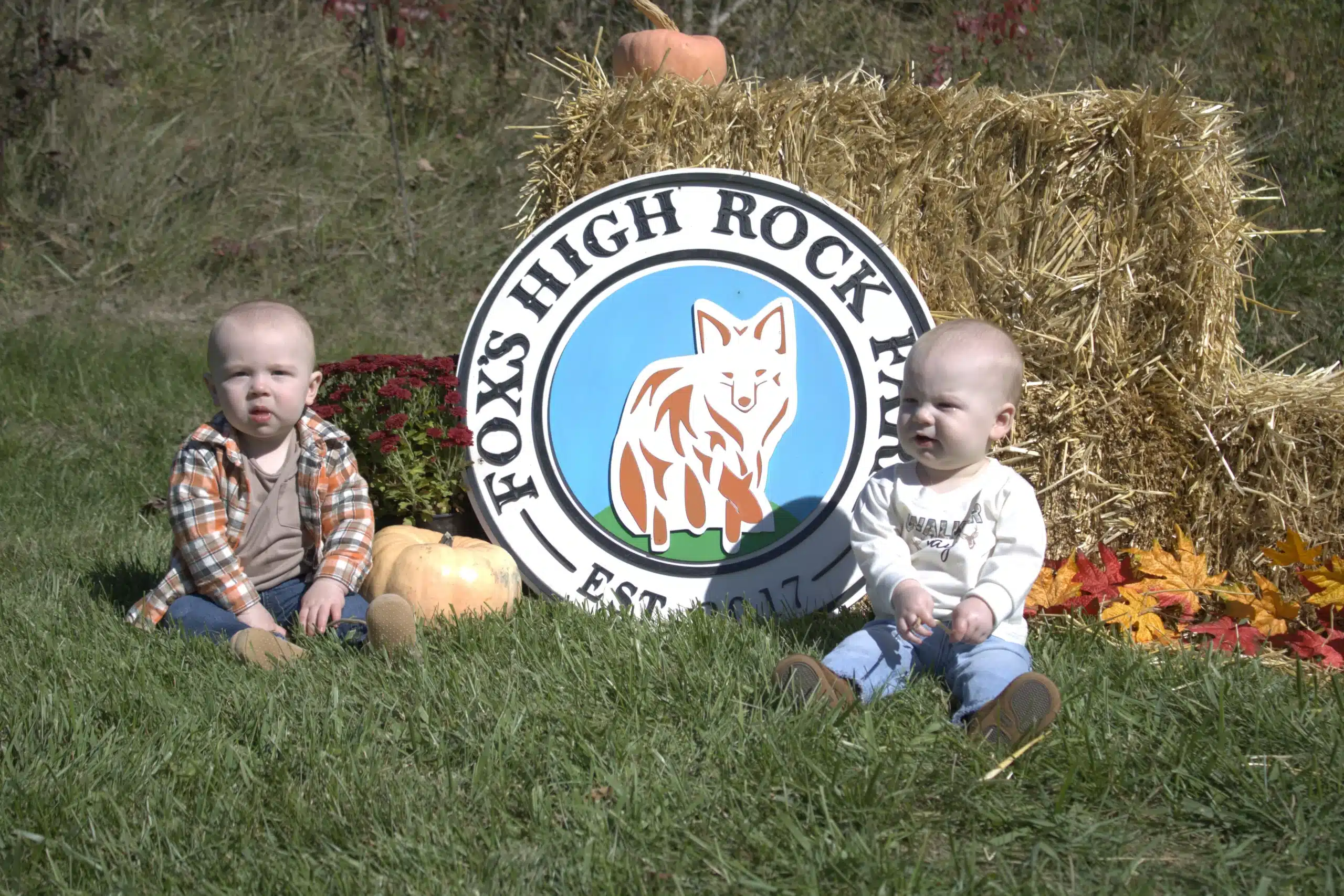 Events On The Farm - Fox's High Rock Farm